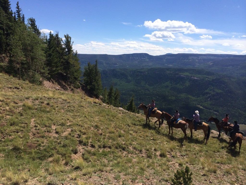 Horseback Riding in Colorado Rockies