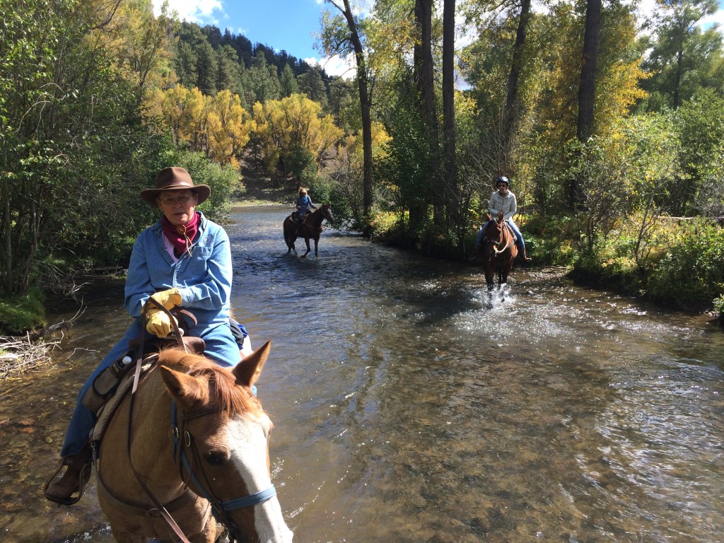 Horseback Riding in Colorado Rockies